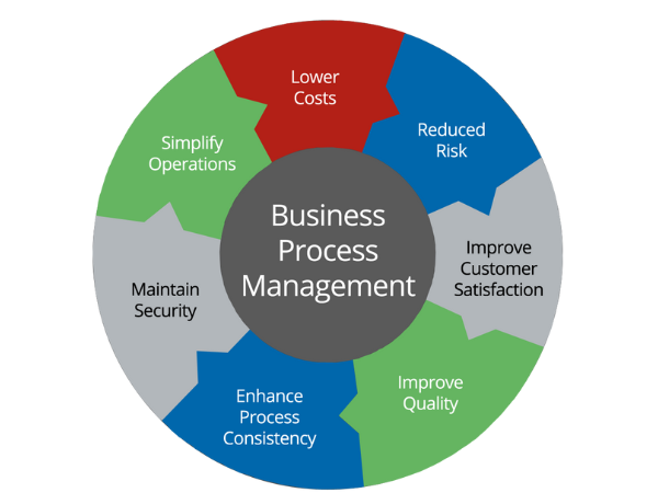 Mastering Business Management Processes
